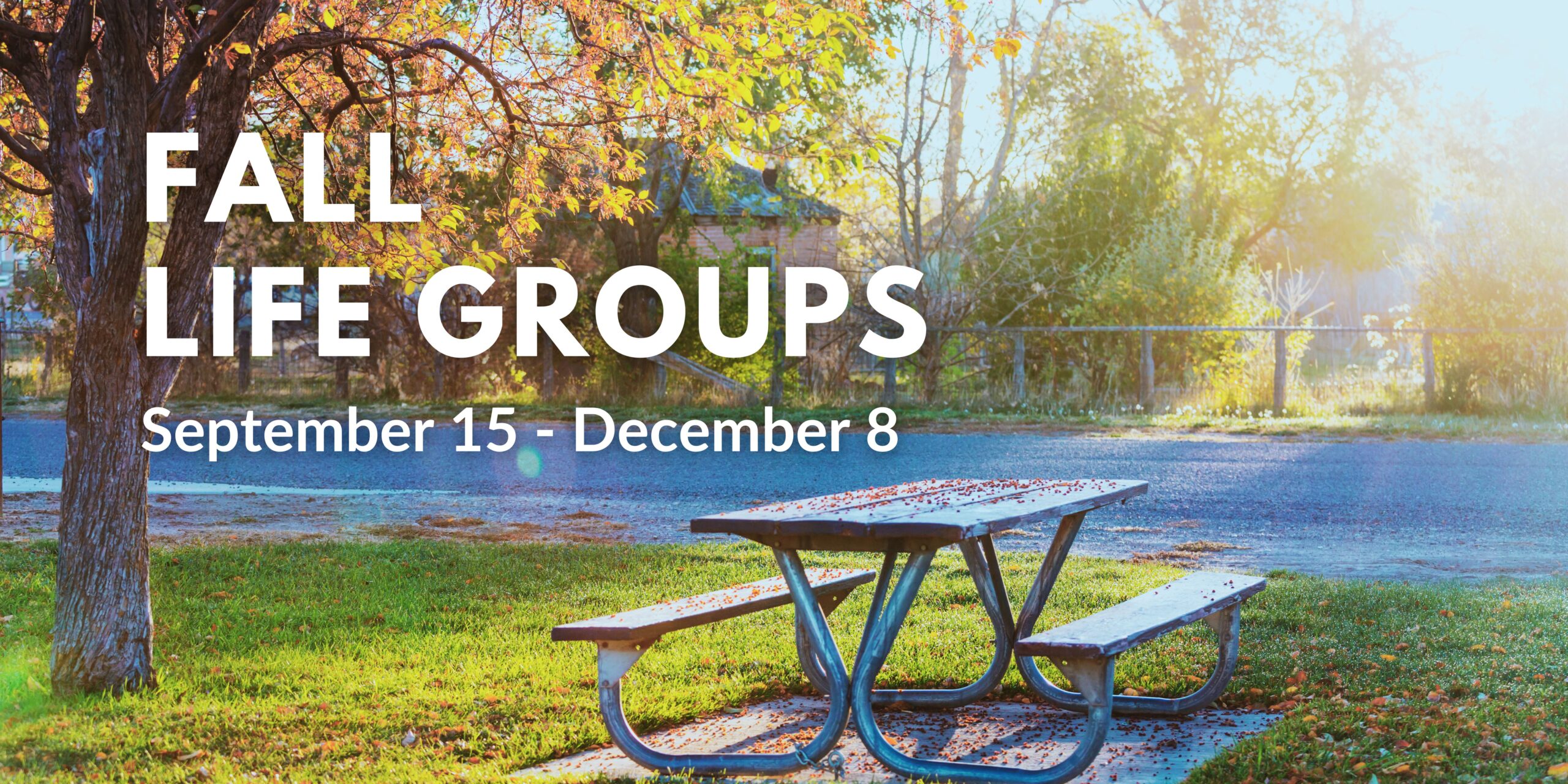 Life Groups - First Evangelical Covenant Church
